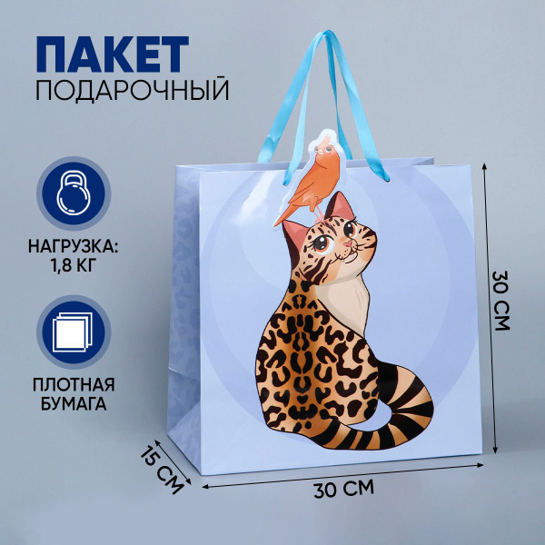 Подарочный пакет "Кот", 30 х 30 х 15 см - купить по выгодной цене в ...