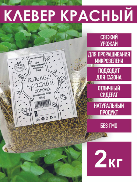 Клевер Красный семена 2 кг. сидерат газон для проращивания - купить с ...