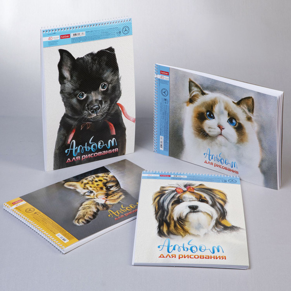 Набор альбомов для рисования Hatber 40 листов, формата А4, перфорация на отрыв, на спирали ...