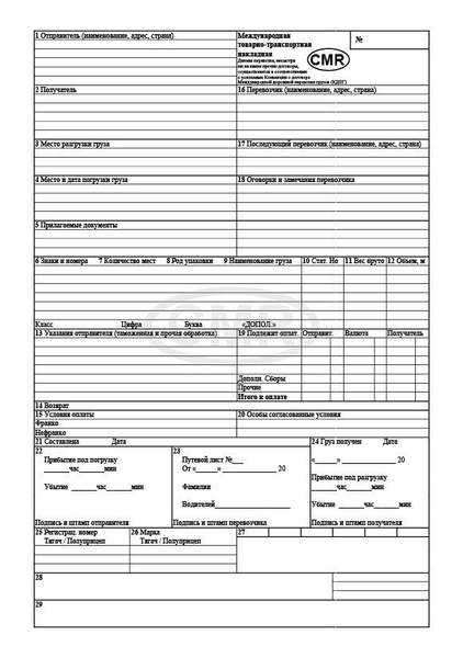 Бланк бухгалтерский - купить по выгодной цене в интернет-магазине OZON (948245328)