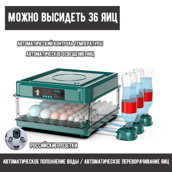 Инкубатор на 36 яиц с автоматическим поворотом яиц для повышенной ...