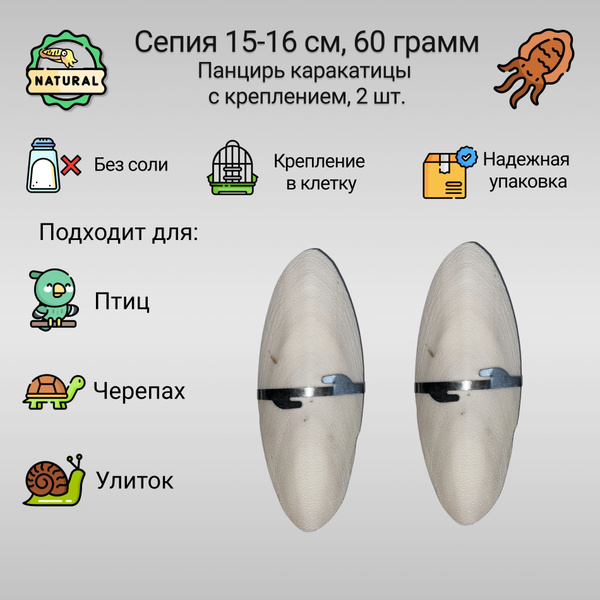 Сепия (минеральный камень) панцирь каракатицы для попугаев, улиток ...