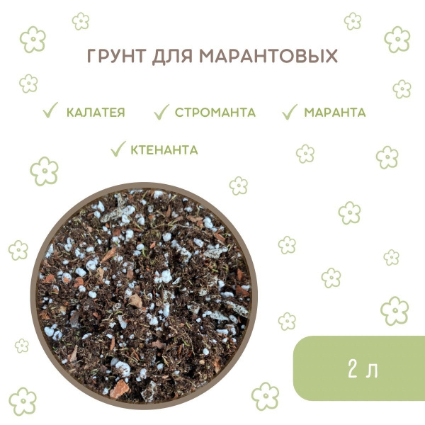 Готовый грунт для калатеи , для ктенанты. Универсальный грунт для ...