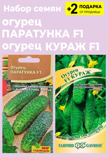 Огурцы Проверенные семена Огурец Паратунка F1 МС - купить по выгодным ...