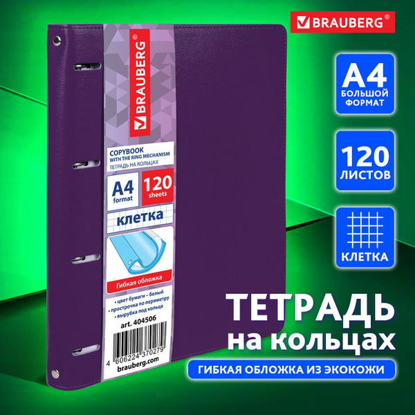 Тетрадь на кольцах со сменным блоком для учебы Большая, А4 (240х310 мм ...