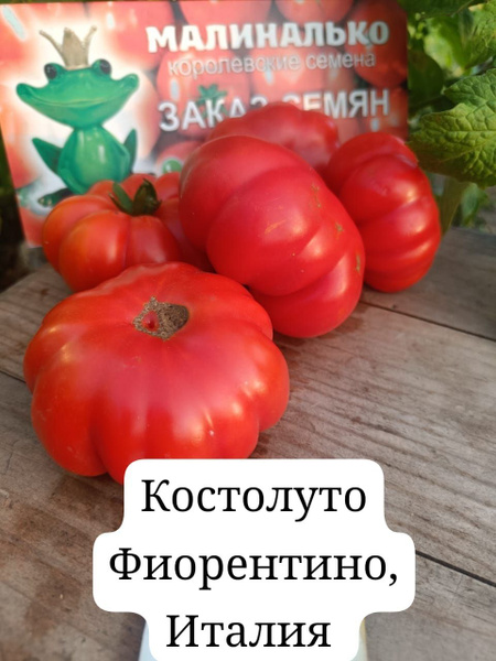Коллекционные томаты - купить по выгодным ценам в интернет-магазине ...