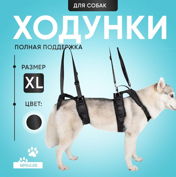 Полная поддержка для собак. Ходунки для пожилых и травмированных собак ...