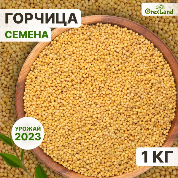 Горчица семена приправа зернистая 1 кг в зернах ДЛЯ КОНСЕРВАЦИИ