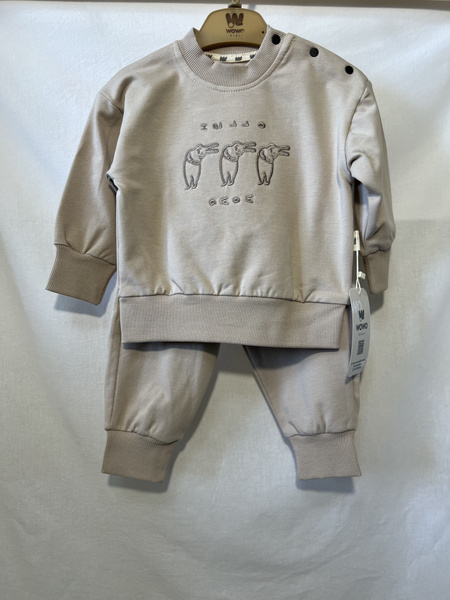 Комплект одежды WOWO KIDS - купить с доставкой по выгодным ценам в ...