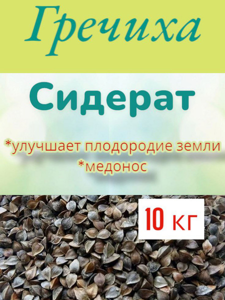 Удачный урожай гречиха - купить по выгодным ценам в интернет-магазине ...