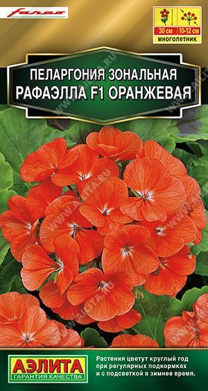 Пеларгонии (Герань) Агрофирма Аэлита Пеларгония Аэлита - купить по ...