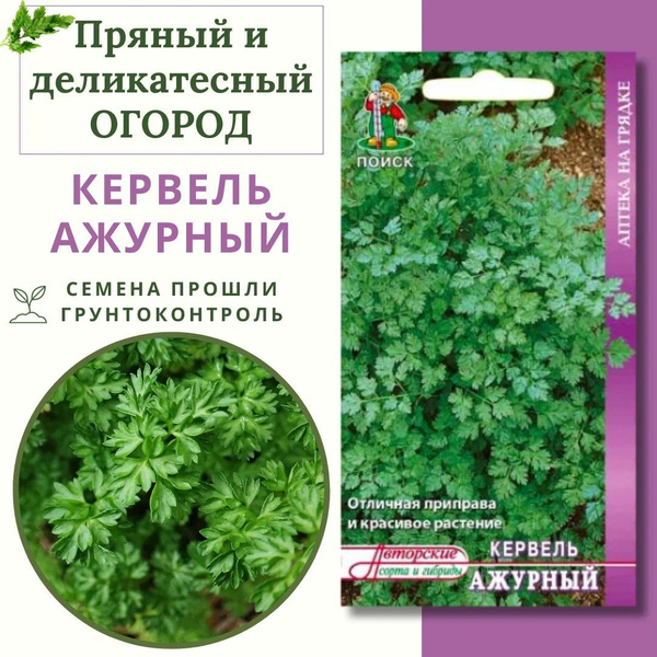 Кервель ПОИСК Агрохолдинг pryanost_зеленый_бежевый - купить по выгодным ...