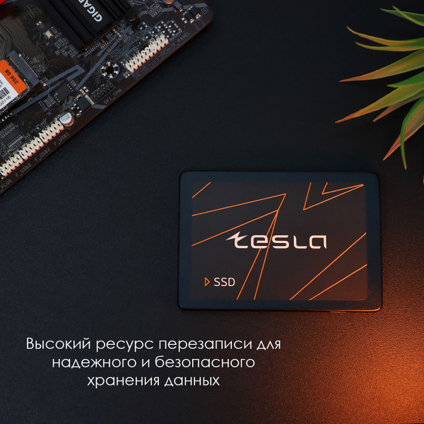 256 ГБ Внутренний SSD-диск TESLA 2.5" (SSDTSLA-256GS3) - купить по ...