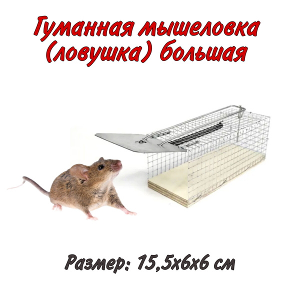 Мышеловка клетка ловушка большая (гуманная живоловка) от мышей 15,5х6х6 ...