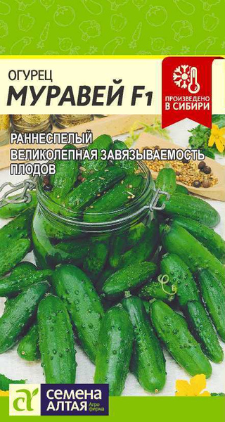 Огурцы Семена Алтая огурец - купить по выгодным ценам в интернет ...