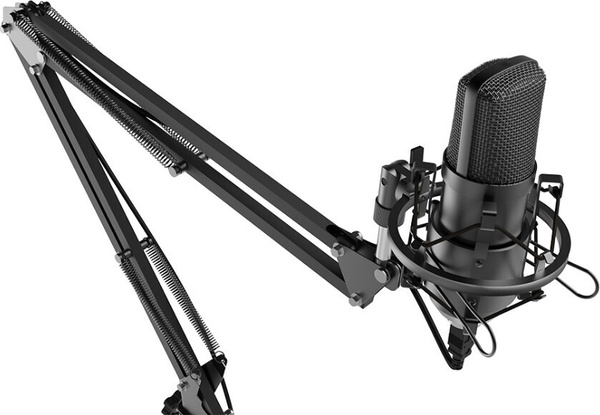 Микрофон студийный Ritmix RDM-160 - купить по выгодной цене в интернет ...