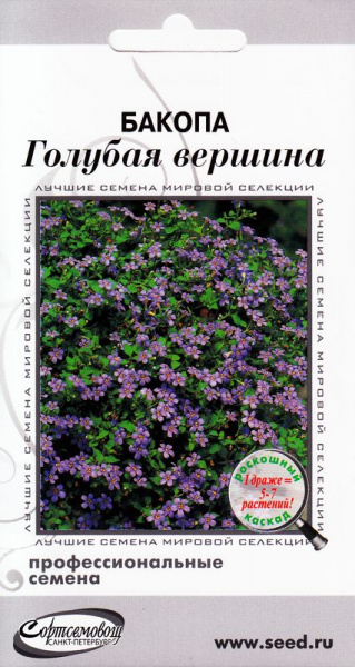 Декоративные разные Дом Семян Бакопа Белая вершина_голубой, 3 г ...