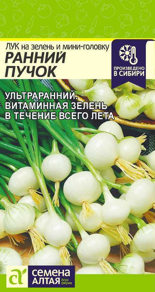Лук Семена Алтая Лук - купить по выгодным ценам в интернет-магазине ...