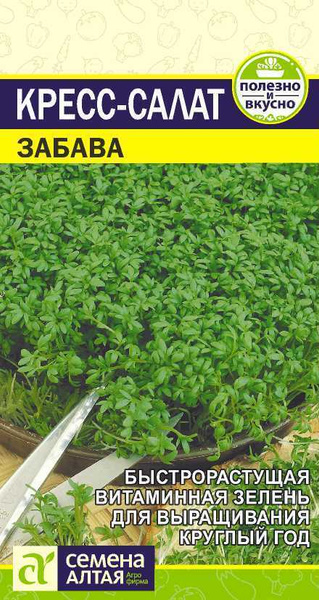 Кресс-салат Семена Алтая Зелень - купить по выгодным ценам в интернет ...