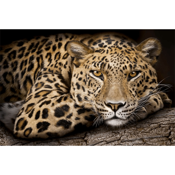 Фотообои бумажные глянцевые Лесной охотник 196*134 см (4 листа) купить на OZON по низкой цене ...