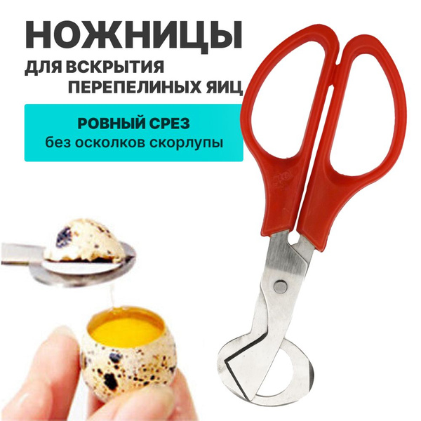 Ножницы кухонные для перепелиных яиц, 140 мм - купить с доставкой по ...