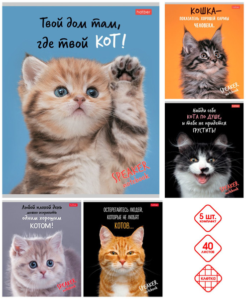 Набор тетрадей Hatber 40 листов, формата А5, в клетку, на скобе, 65 г/кв. м, 5 штук/5 дизайнов ...