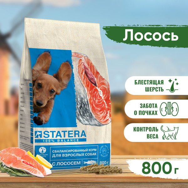 Статера / Корм для собак сухой STATERA с лососем для всех пород, 800г ...