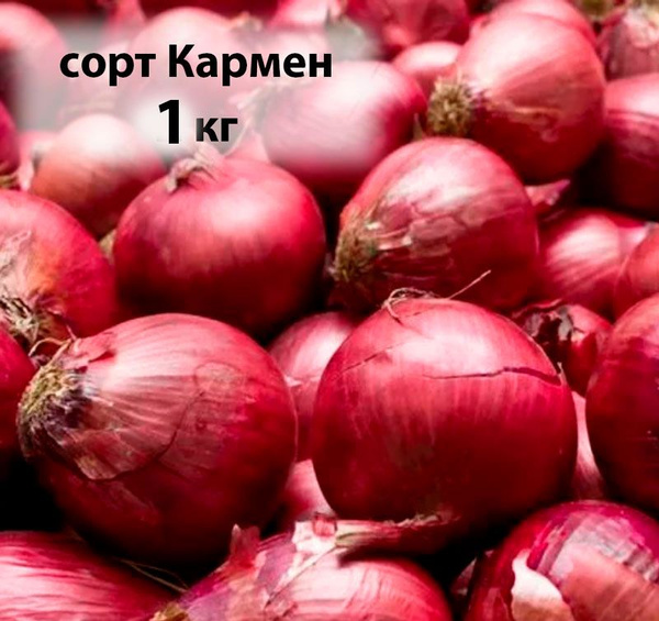 Лук-севок сорт Кармен (1 кг), урожай 2024 (Чехия) купить на OZON по ...