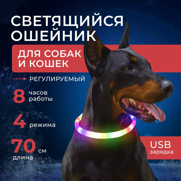 Ошейник светящийся для собак средних и крупных пород с зарядкой Usb