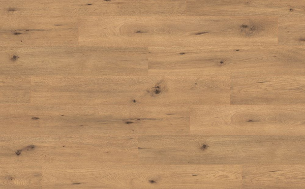 Купить Ламинат Egger egger_classic_10_33 33 класс, 10 мм, Дуб Дикий натуральный EPL182 в ...