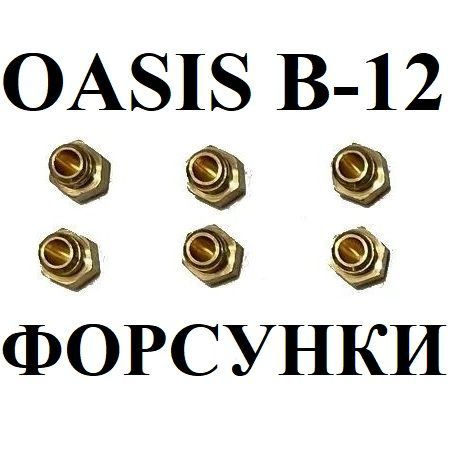 Комплект перевода на сжиженный газ для бездымоходной колонки Oasis B-12W купить на OZON по ...
