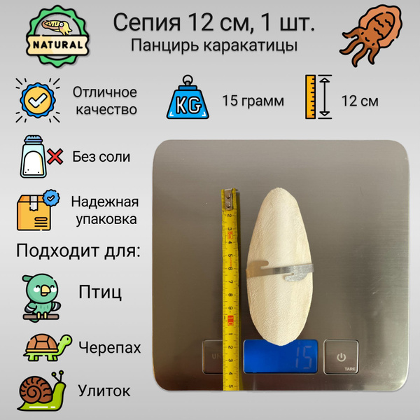 Сепия (минеральный камень) панцирь каракатицы для попугаев, улиток ...