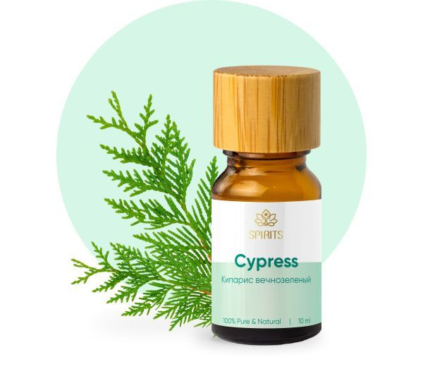 Эфирное масло Кипарис вечнозеленый (Cupressus sempervirens), Франция, 5 ...