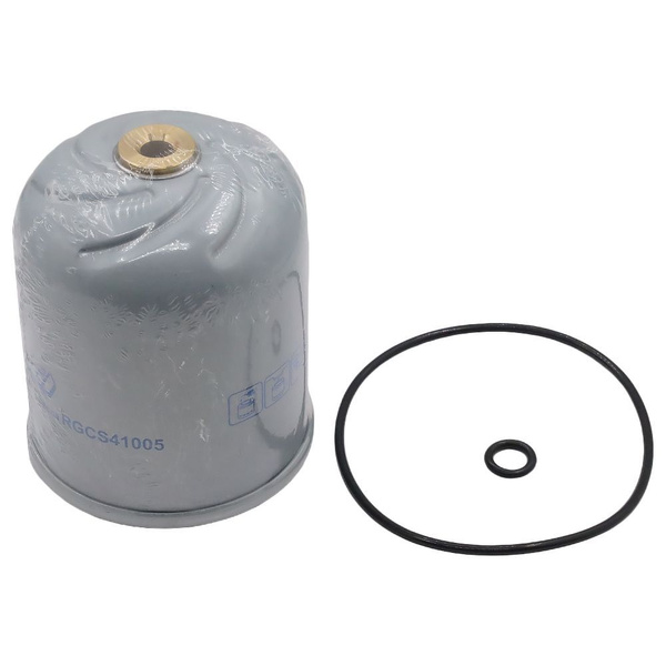 Фильтр масляный Riginal RGCS41005 - купить по выгодным ценам в интернет ...
