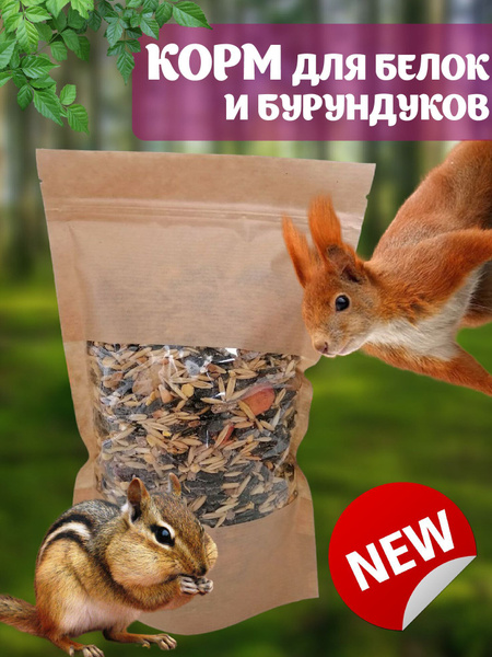 Корм для белок и бурундуков, 500 гр. - купить с доставкой по выгодным ...