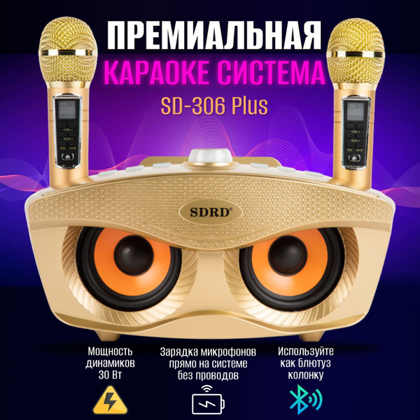 Караоке система беспроводная SD-306 Plus Золотая - купить с доставкой по выгодным ценам в ...