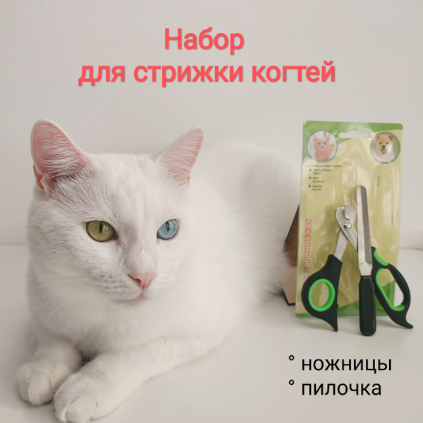 Ножницы и пилочка для когтей Когтерез - купить с доставкой по выгодным ...