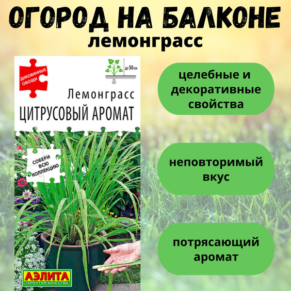 Лемонграсс Аэлита Капуста Пекинская Сто пеленок_зеленый_1_Семена ...