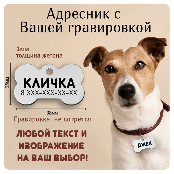 Адресник для собак и кошек с гравировкой - купить с доставкой по ...
