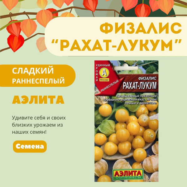 Физалис Агрофирма Аэлита Физалис - купить по выгодным ценам в интернет ...