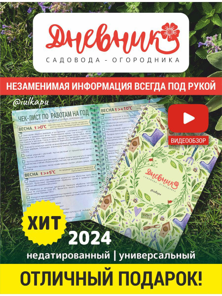 Планнер iulkapu Недатированный A5 (14.8 × 21 см), листов: 80 - купить с ...