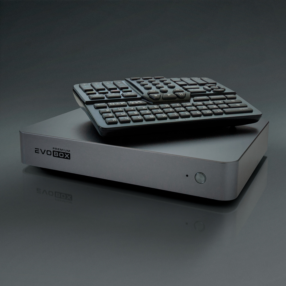 Hi-End караоке-система EVOBOX Premium — купить в интернет-магазине OZON с быстрой доставкой