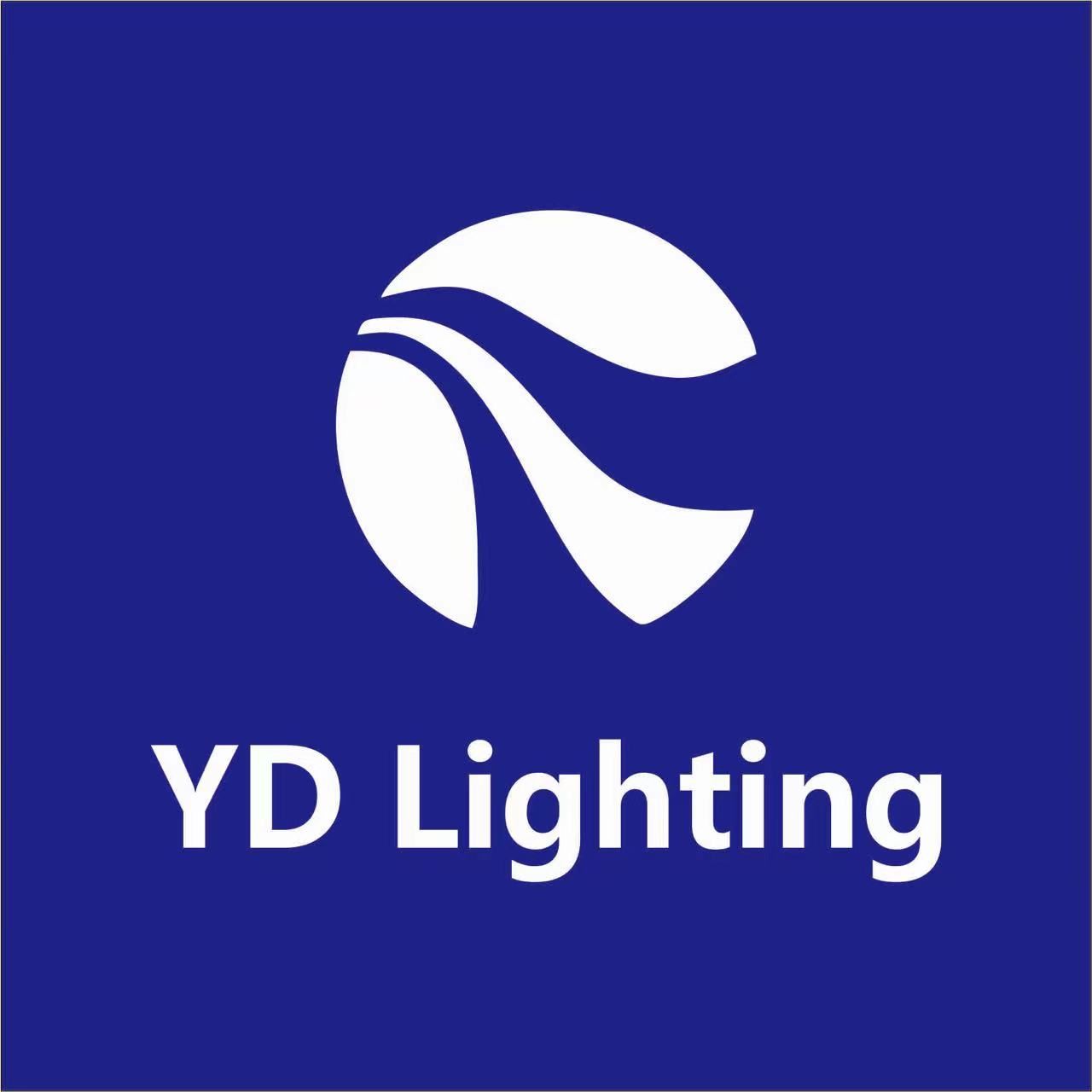 YD Lighting — купить товары YD Lighting в интернет-магазине OZON