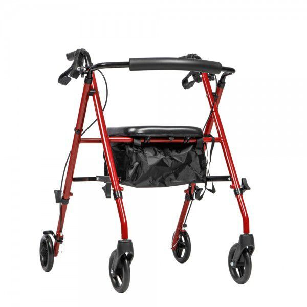 Ходунки-роллаторы 4-х колесные Dayang Medical XR 105 купить на OZON по ...
