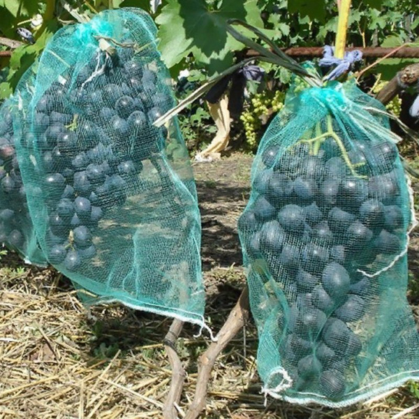 Сетка для винограда защита от ос №1 18*33 - купить с доставкой по ...