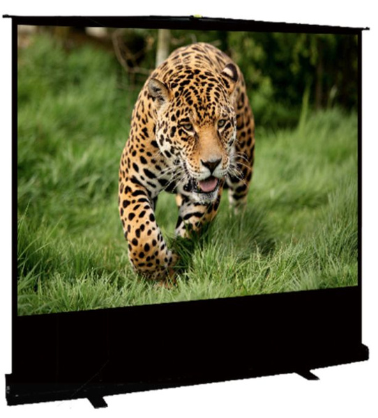 Экран для проектора S'OK SCPSF-163x92 75'' 16:9 напольный, переносной ...