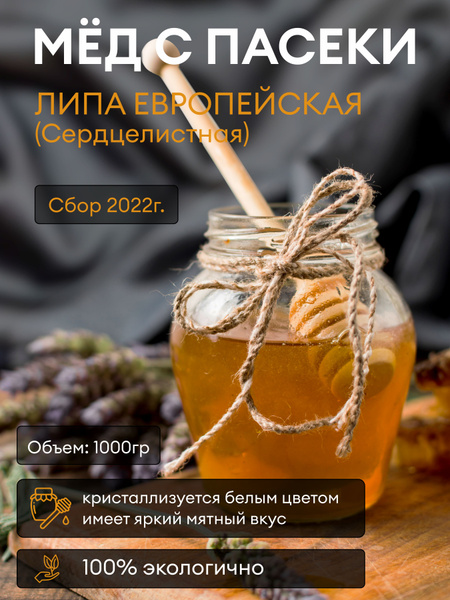 Натуральный липовый мед с ЭКО пасеки, сбор 2023 года, объем 1000 грамм ...