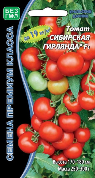 Томаты Уральский дачник ТОМАТ СИБИРСКАЯ ГИРЛЯНДА - купить по выгодным ...