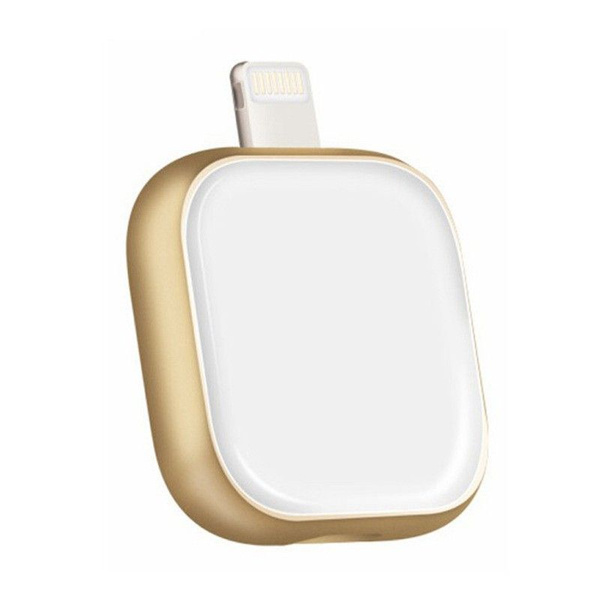 USB-флеш-накопитель Apple-USB-pan 256 ГБ - купить по выгодной цене в ...