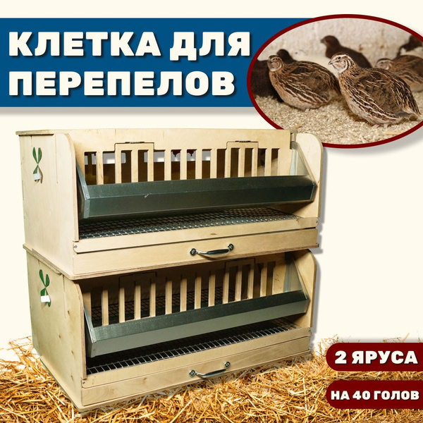 Клетка для перепелов на 40 голов 2 яруса. - купить с доставкой по ...